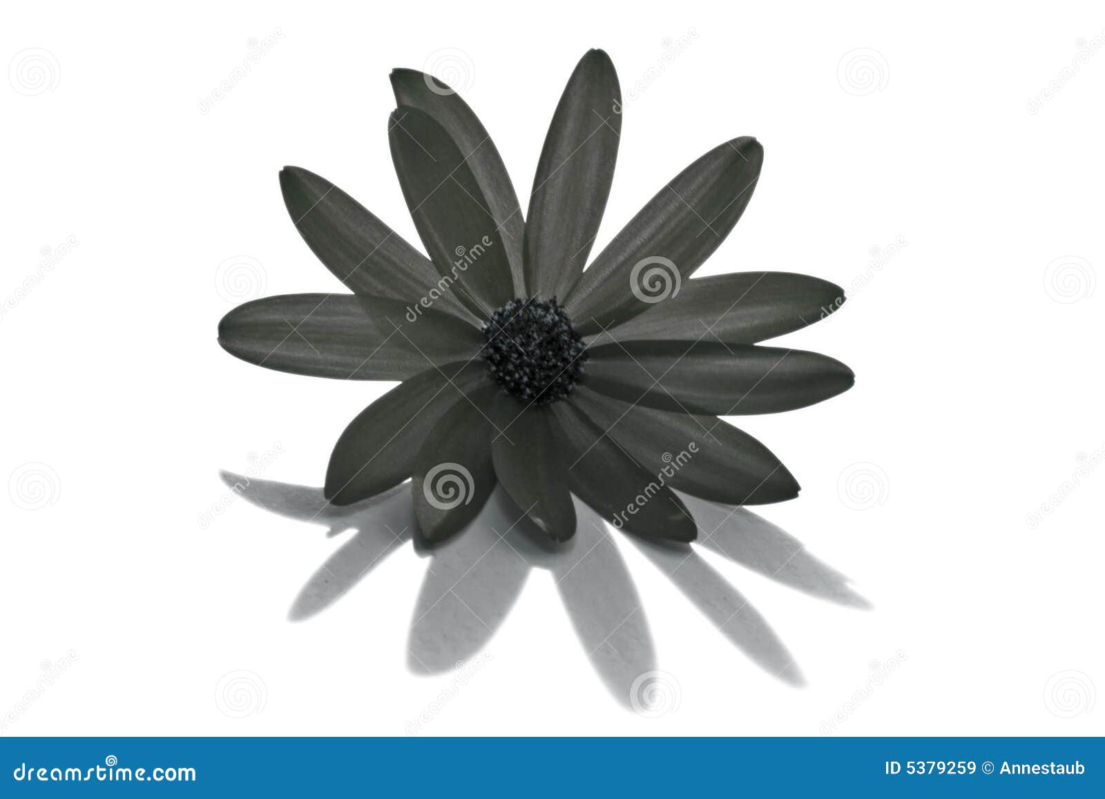 Gray Flower Mosaic Detailed Seamless Textured Pattern Background ...