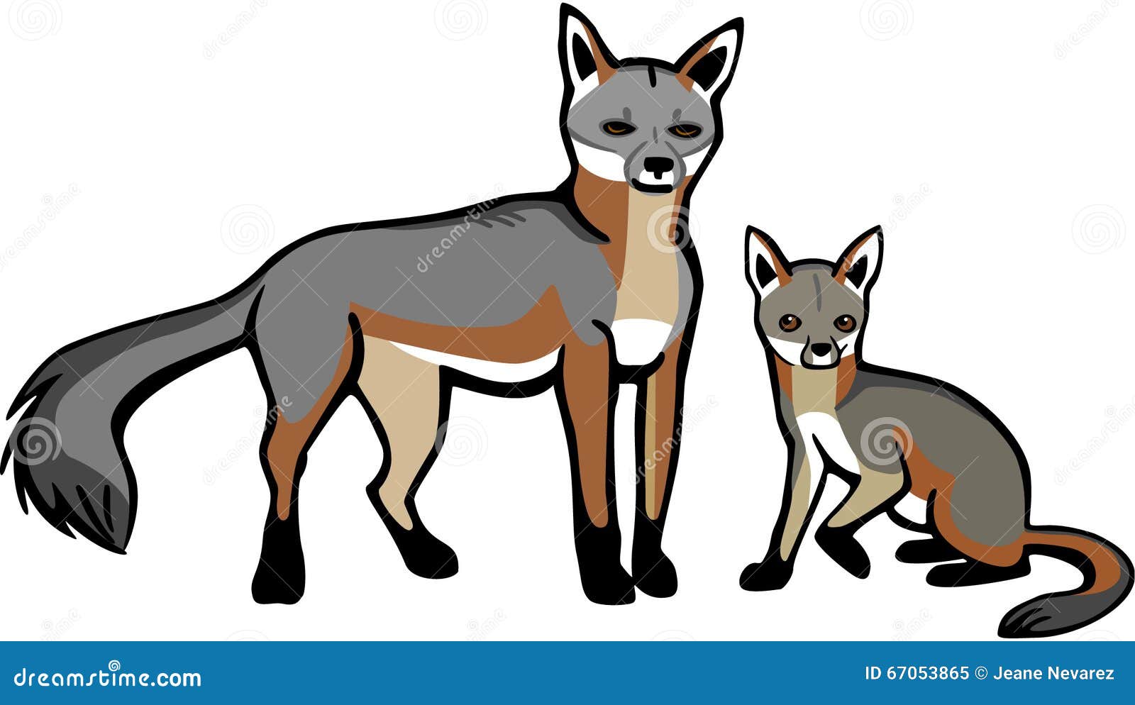 Gray Fox with Cub stock vector. Illustration of drawing - 67053865