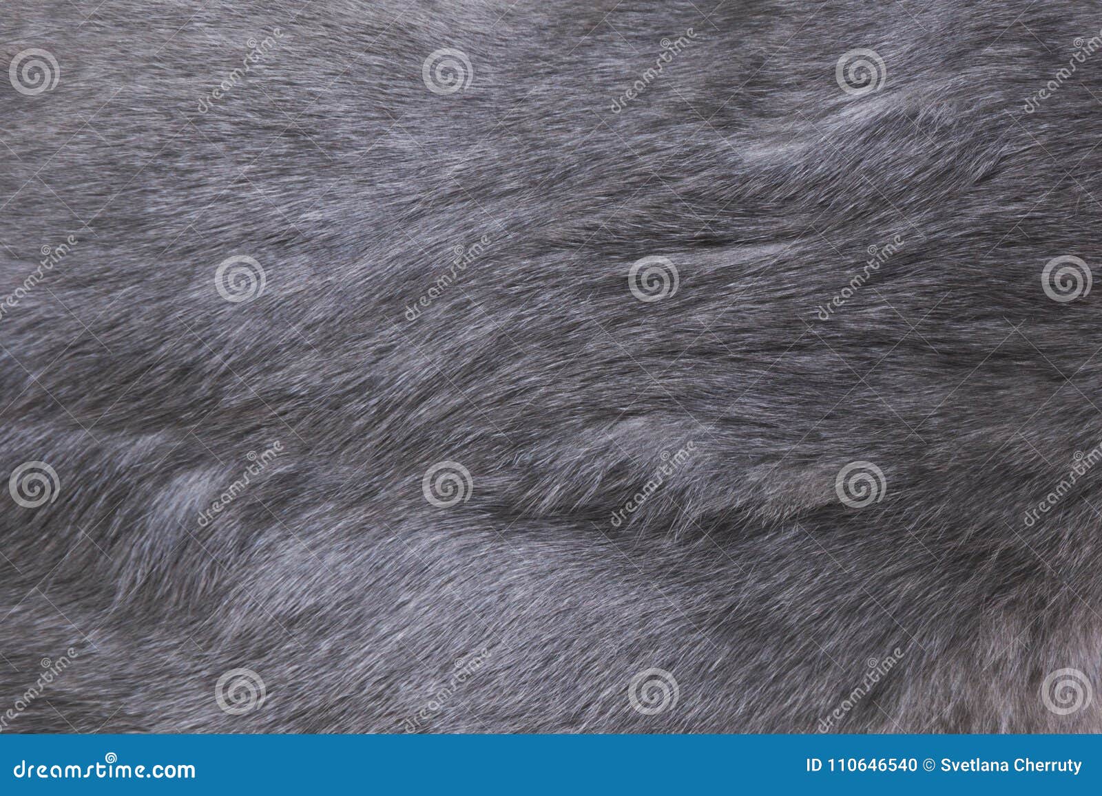 Gray Fur Close Up Background. Texture, Abstract Pattern. Wool. Stock ...