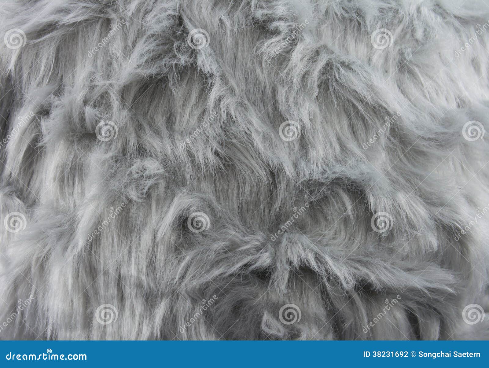 Gray fur pattern stock photo. Image of feather, soft - 38231692