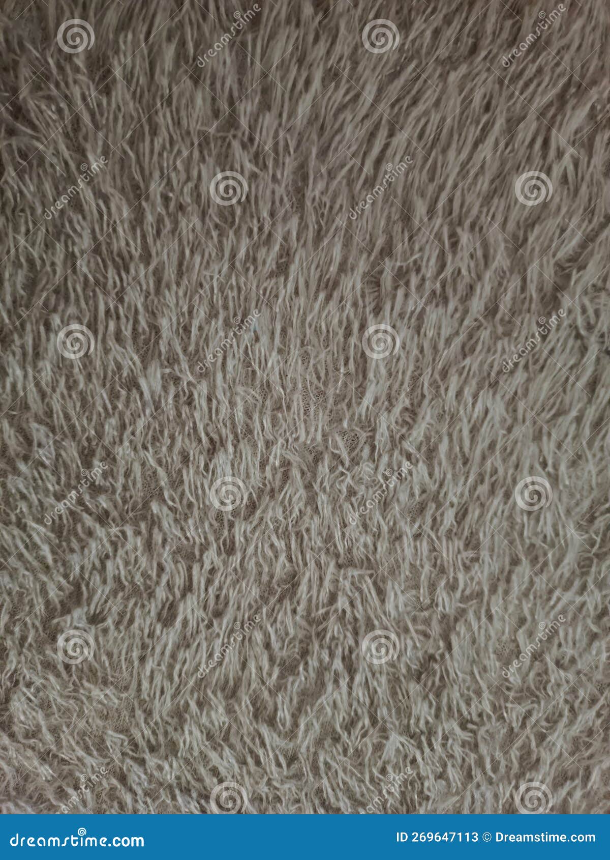 Gray fur rug stock image. Image of apartment, backdrop - 269647113