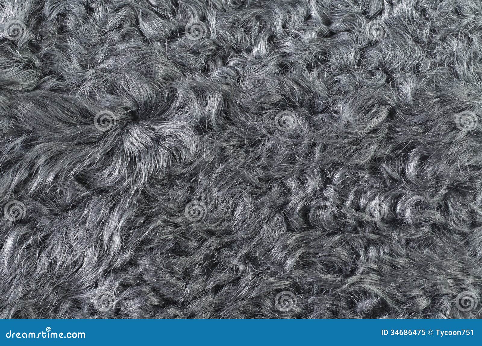 Gray fur stock image. Image of pelt, full, abstract, coat - 34686475
