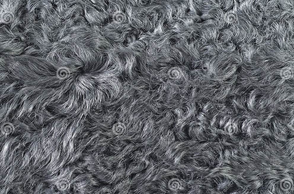 Gray fur stock image. Image of pelt, full, abstract, coat - 34686475