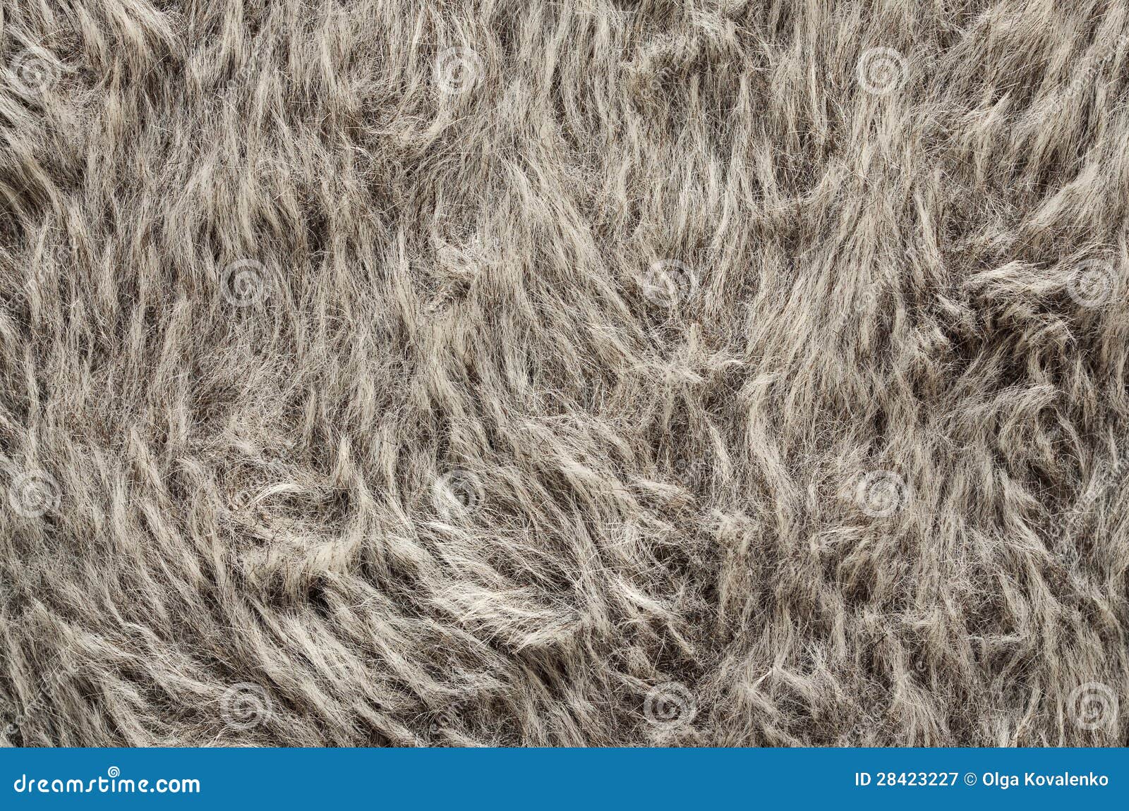 Gray fur texture, close-up stock image. Image of closeup - 28423227