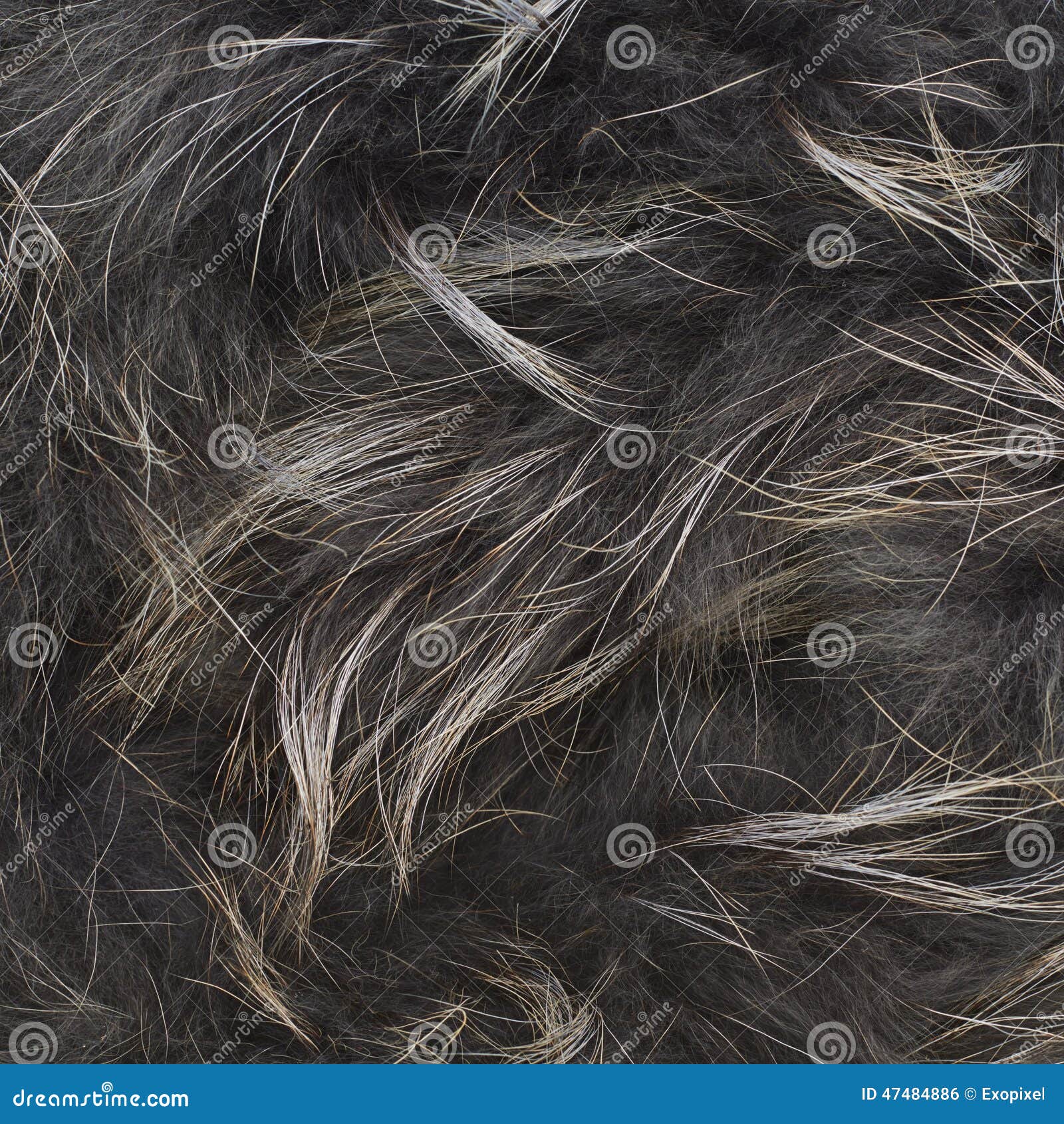 Gray fur texture stock photo. Image of clothing, decorative - 47484886