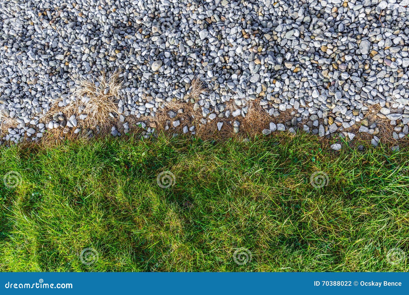 Grass Pattern Bacground Texture Stock Photography | CartoonDealer.com ...