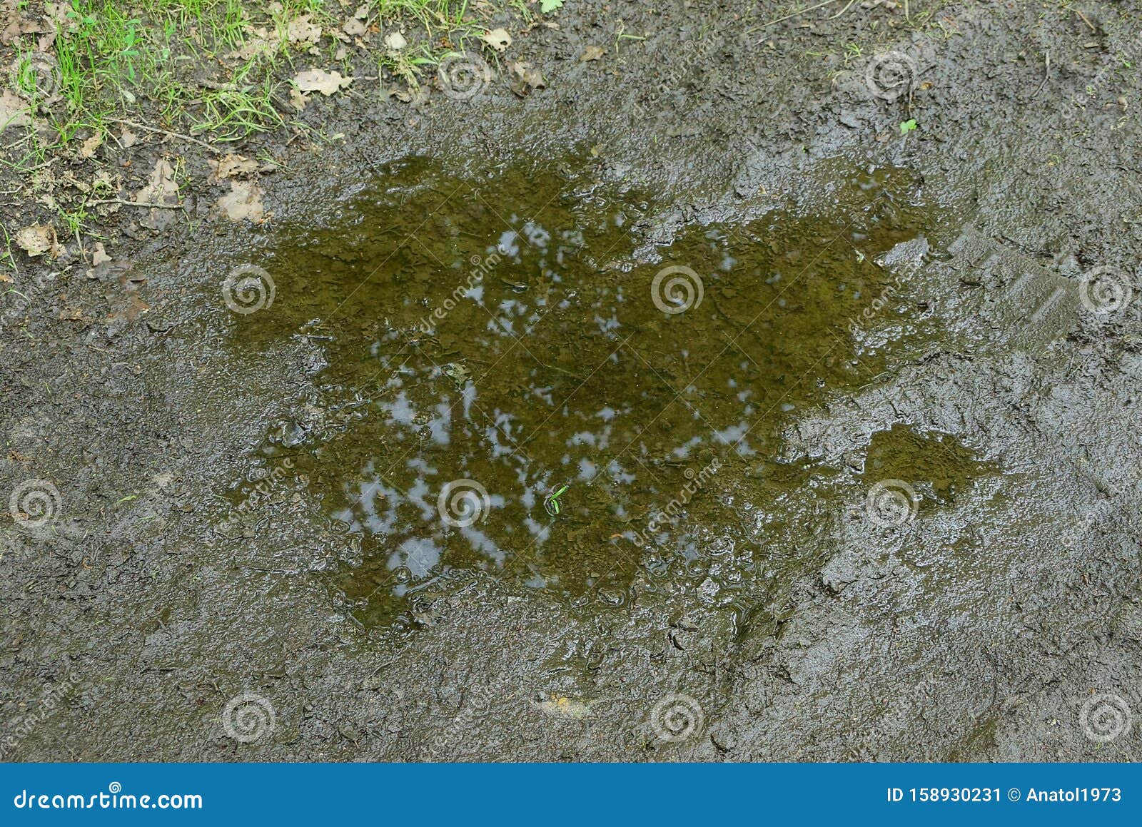 Gray Green Puddle in the Mud on the Road Stock Image - Image of organic ...