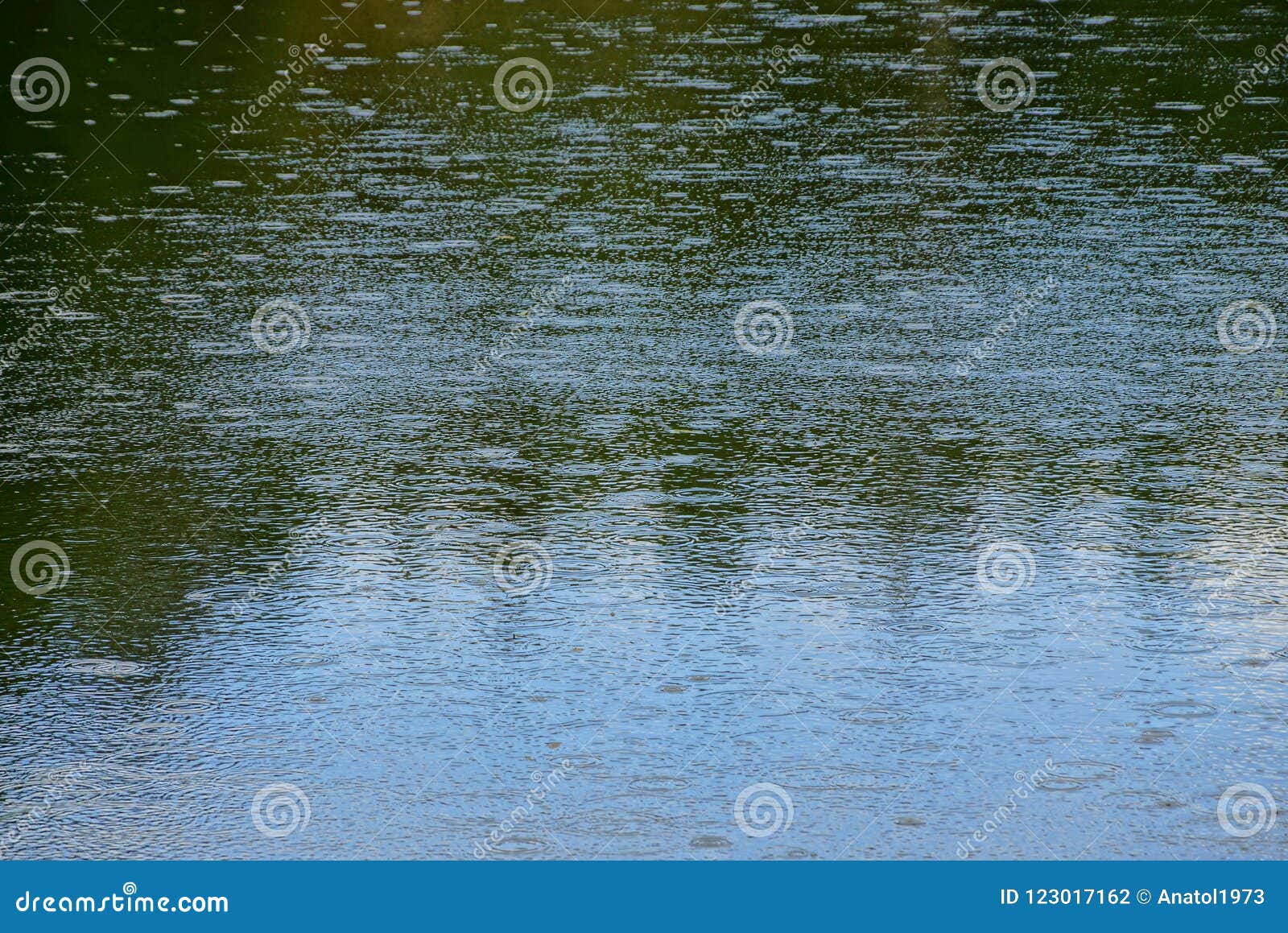 Gray Green Texture Water from a Pond Under the Rain Stock Photo - Image ...