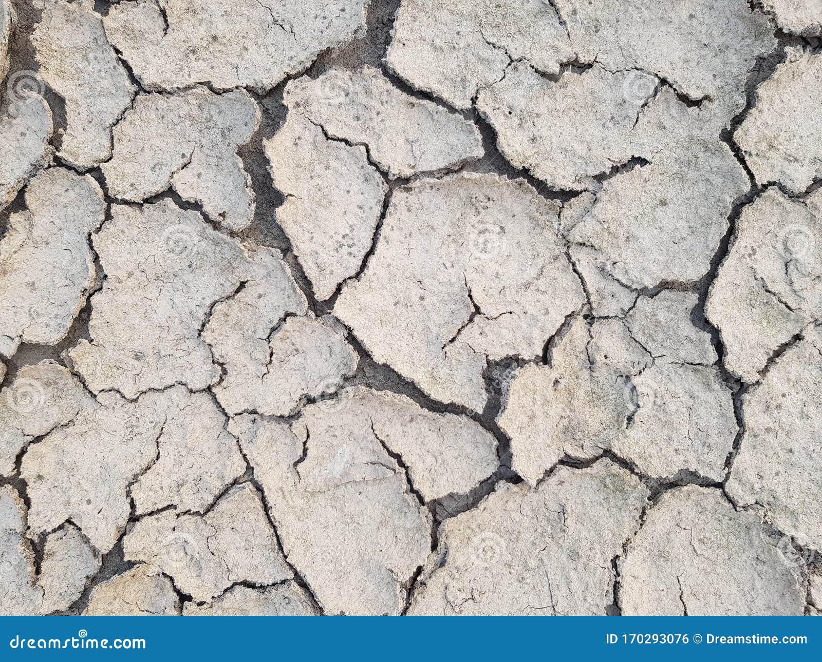 The Gray Ground is Dry and Cracked Stock Photo - Image of seaaon, gray ...