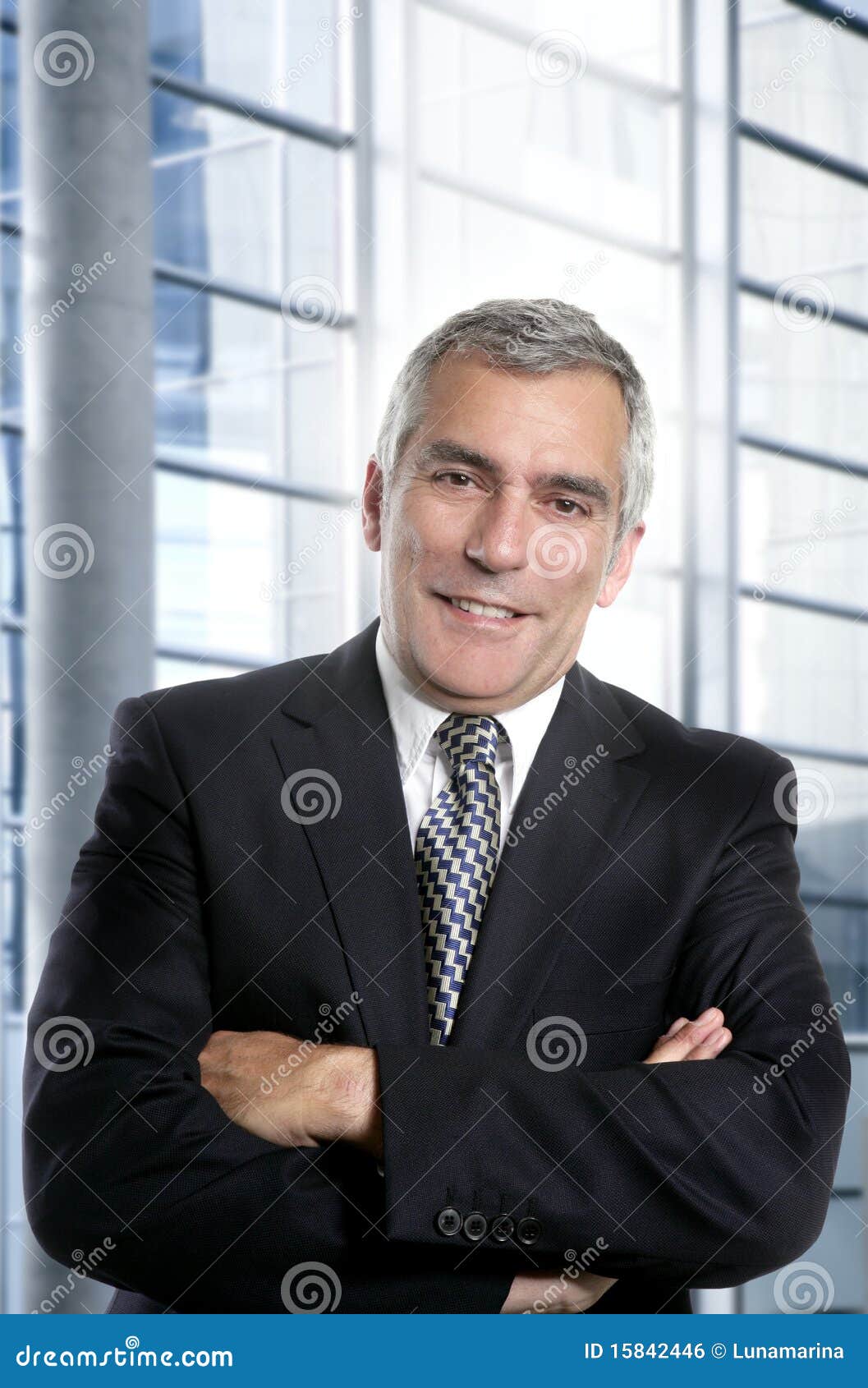 Gray Hair Businessman Interior White Office Stock Photo - Image of male ...