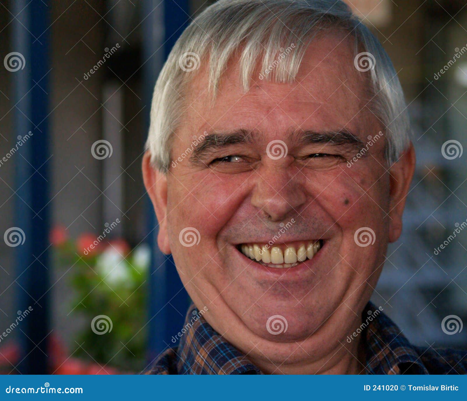 Gray Head Smile 2 stock photo. Image of smile, gleesome - 241020