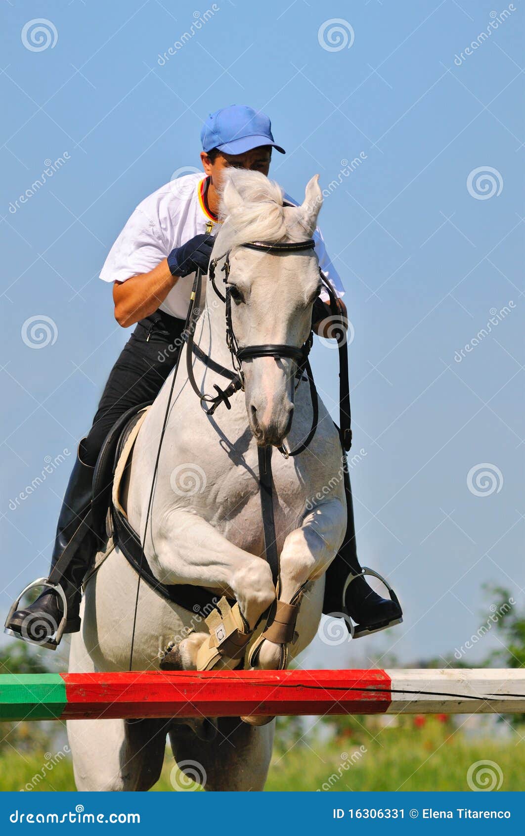 Gray Horse and Rider Over a Jump Stock Image - Image of active, jumping ...