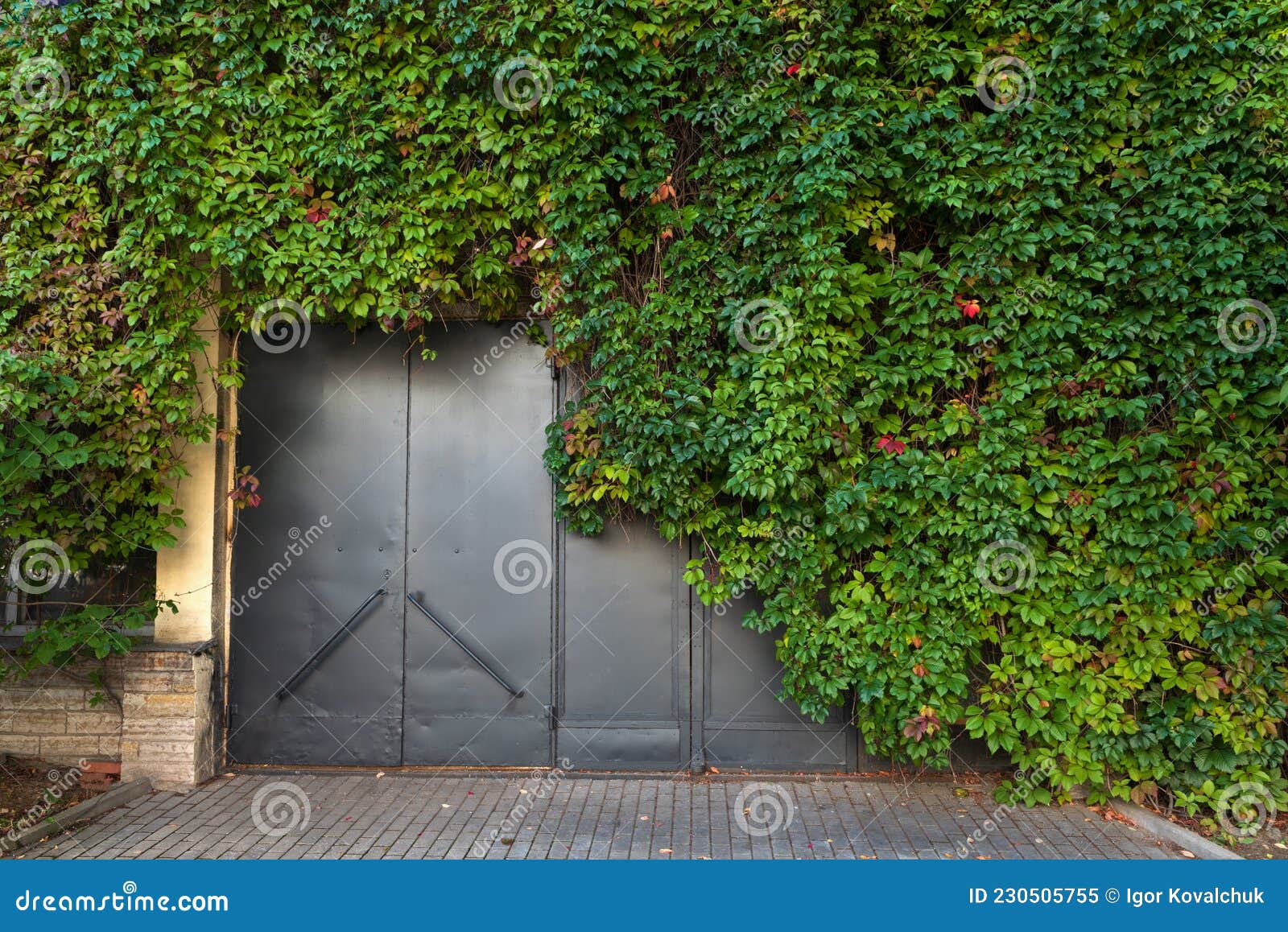 Gray iron gate stock image. Image of background, iron - 230505755