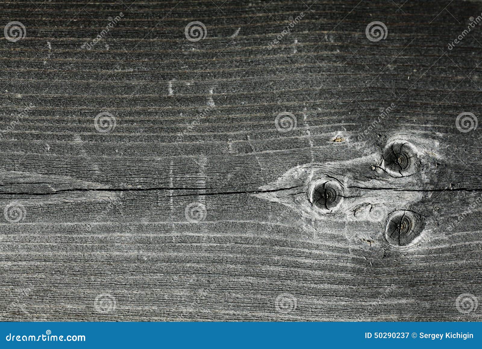 Gray knotty wood texture stock image. Image of knots - 50290237