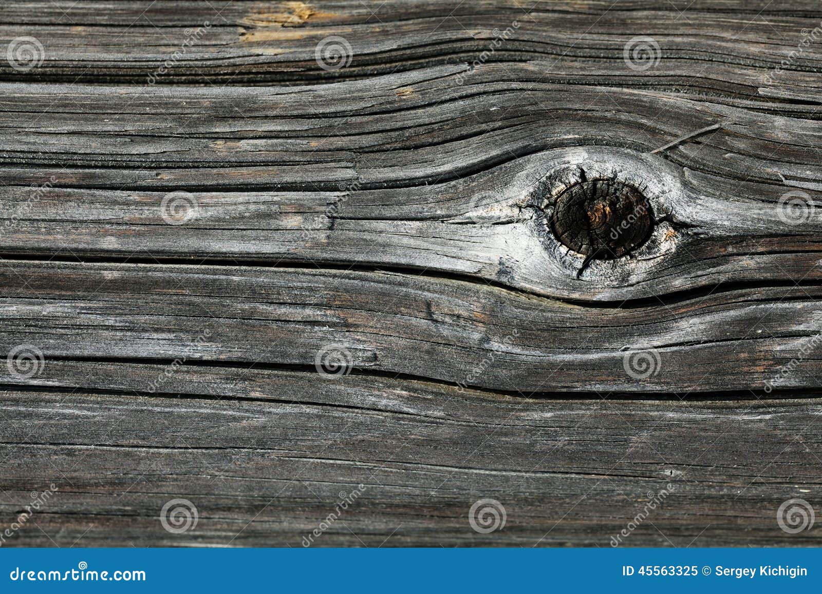 Gray Knotty Wood Texture Grey Stock Image - Image of crack, grey: 45563325