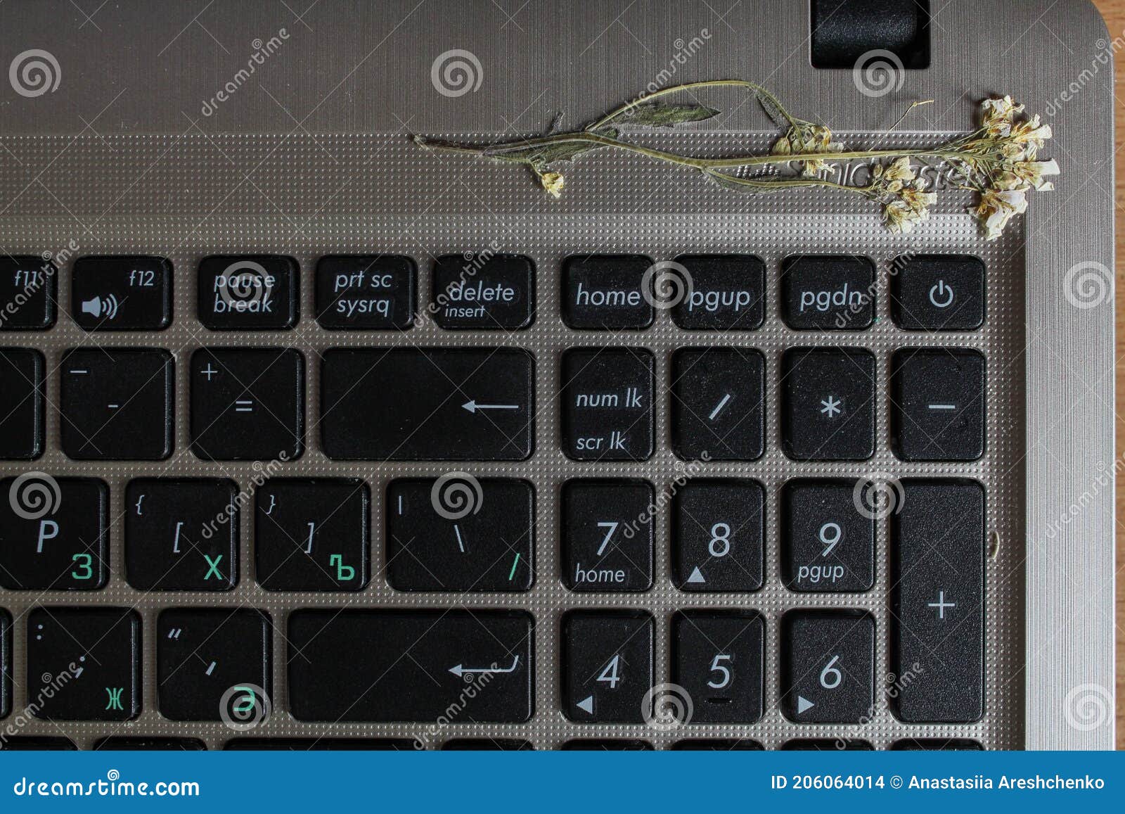 Gray Laptop with Black Keyboard Decorated with Dried Wildflower Stock ...
