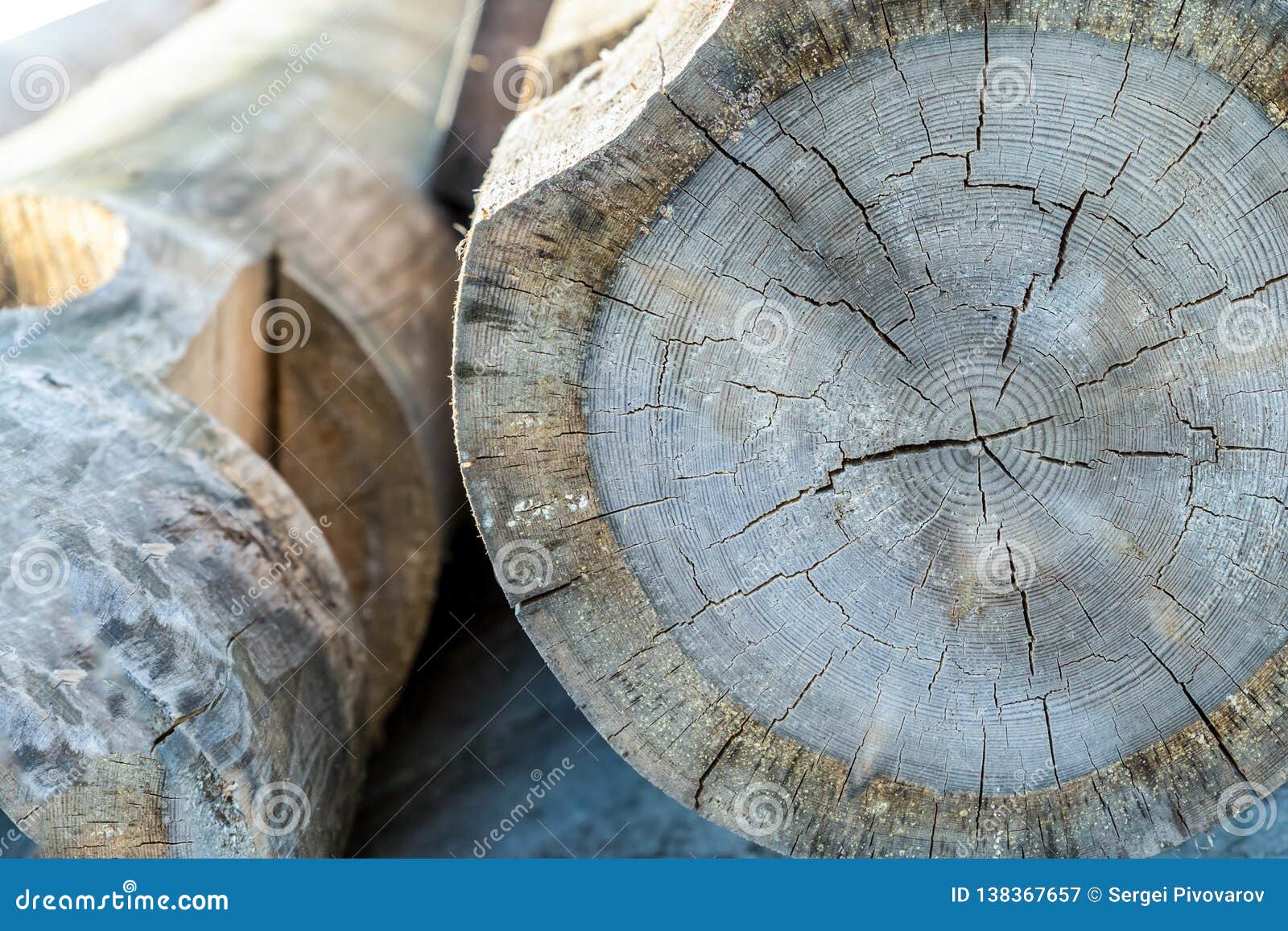 Gray Large Logs Old Wood Horizontal Trunks End Rasterized Background ...