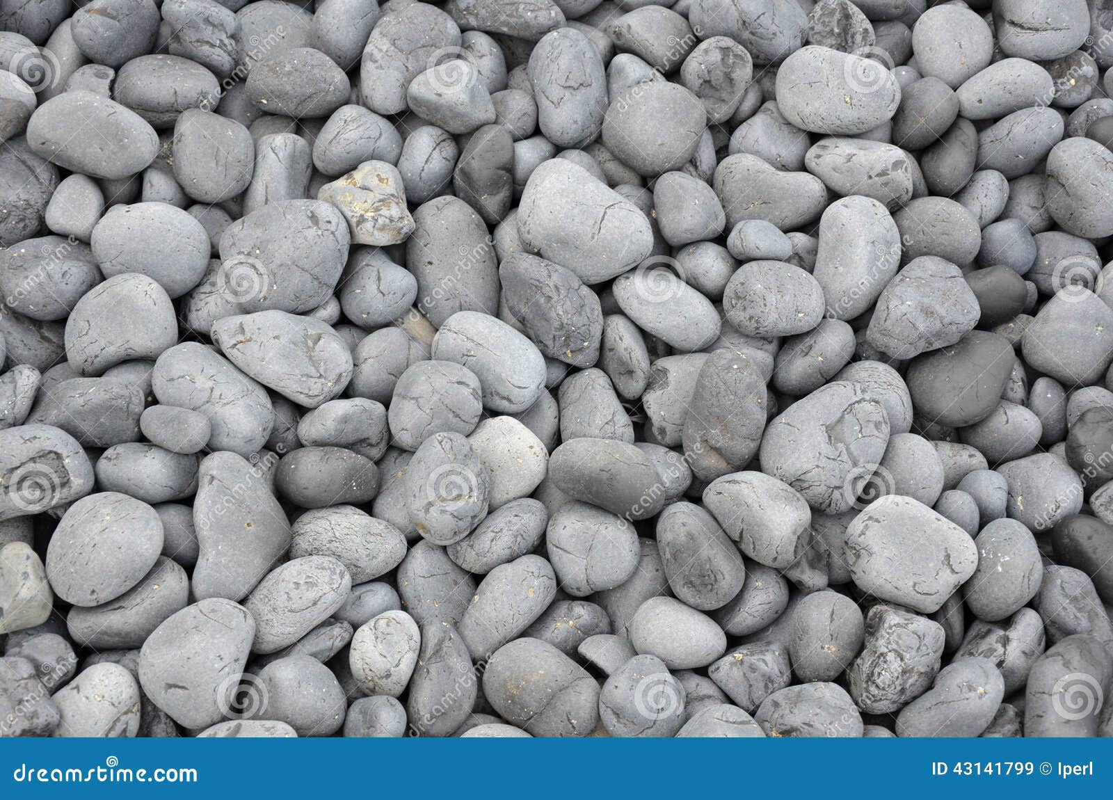 Gray lava rocks on beach stock image. Image of rock, background - 43141799