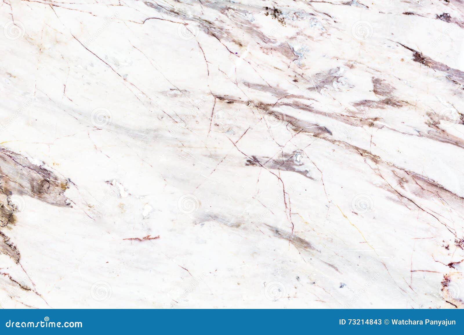 The Light Marble Texture Stock Photography | CartoonDealer.com #143529008