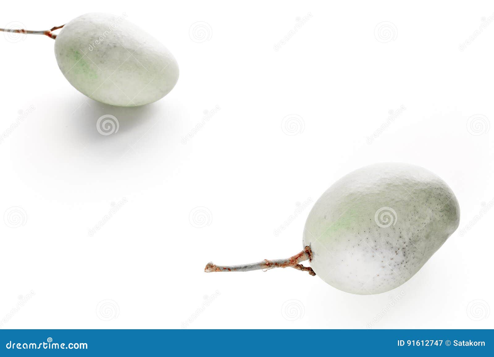 Gray Mango on White Background Stock Image - Image of healthy, white ...