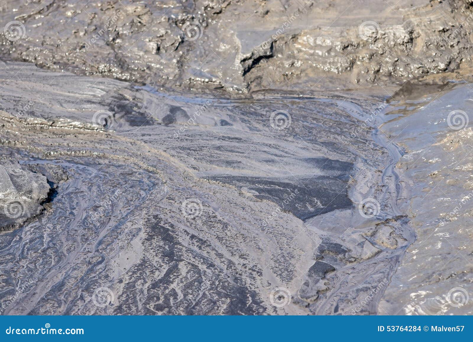 Gray marsh soil stock photo. Image of ecology, surface - 53764284