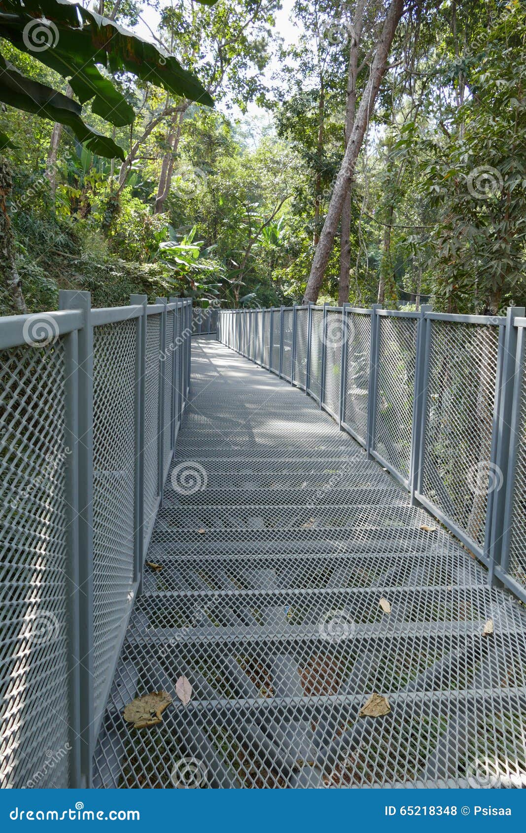 Gray Metal Walkway in the Park Stock Photo - Image of forest, jungle ...