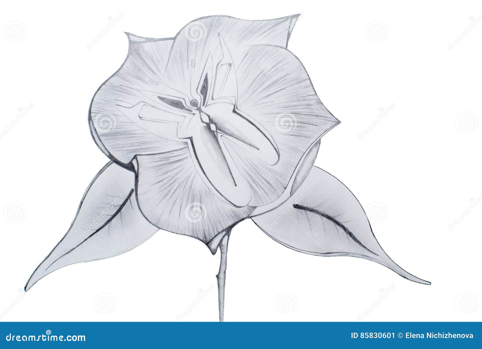 Gray modern flower stock illustration. Illustration of drawing - 85830601