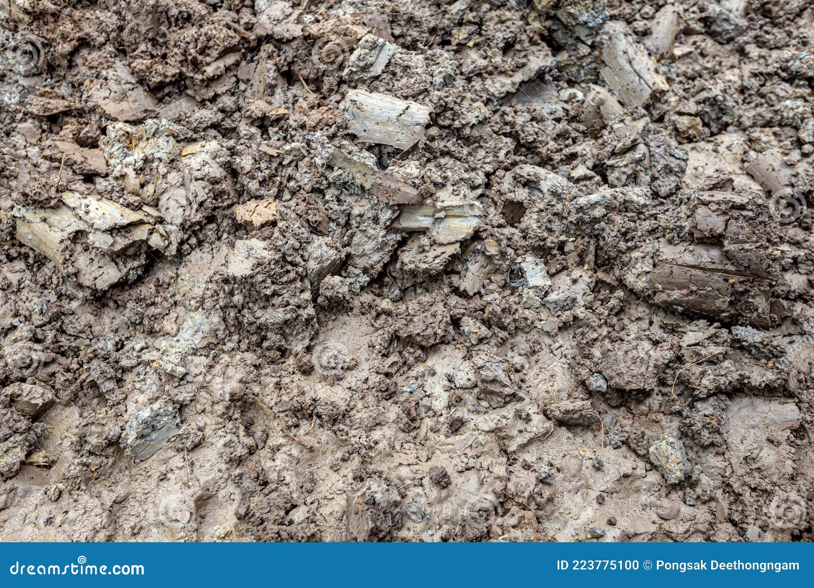 Gray mud, background stock photo. Image of texture, brown - 223775100