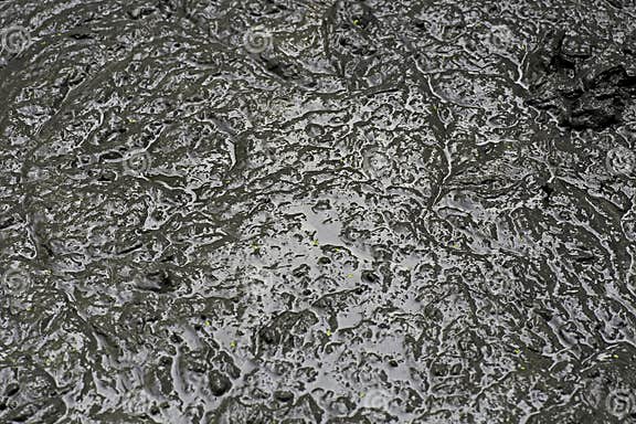Gray mud stock image. Image of ooze, grey, background - 41354399