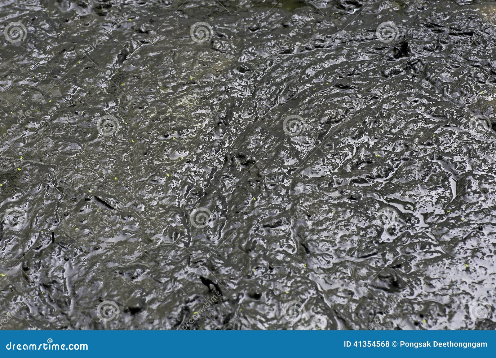 Gray mud stock photo. Image of grey, gray, muddy, gooey - 41354568