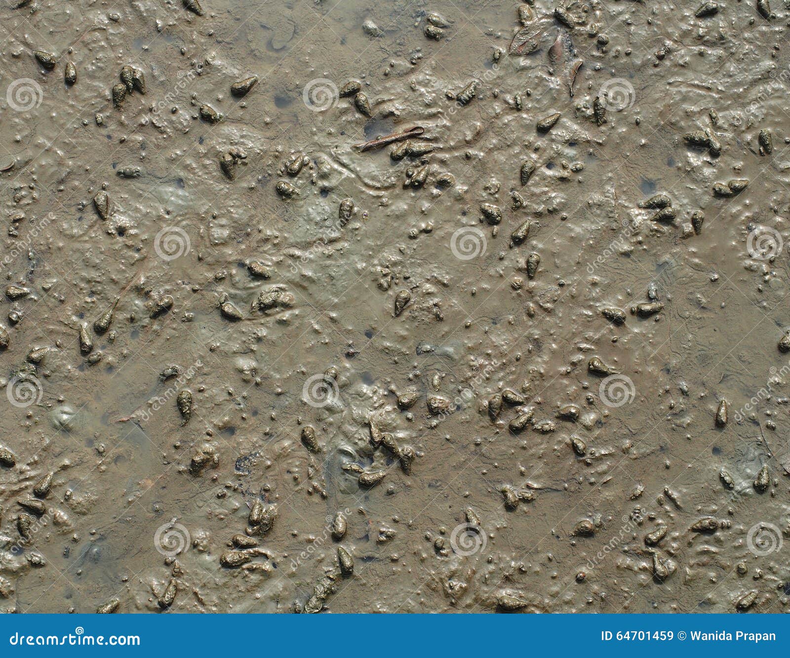 Gray Mud, Background and Texture Stock Image - Image of grey, muddy ...