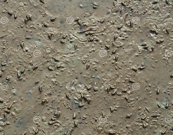 Gray Mud, Background and Texture Stock Image - Image of grey, muddy ...
