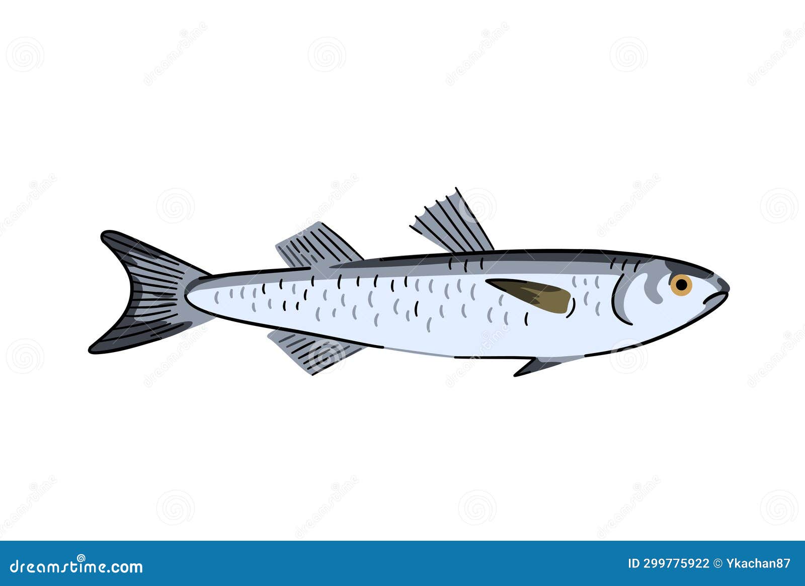 Mullet Vector X Ray Fish Cartoon Largemouth Bass Illustration Catfish ...
