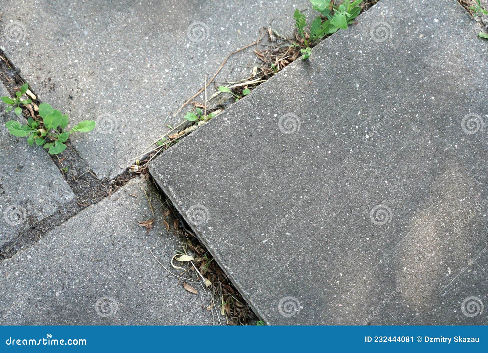 Gray Paving Slabs and Grass on the Footpath Stock Image - Image of ...