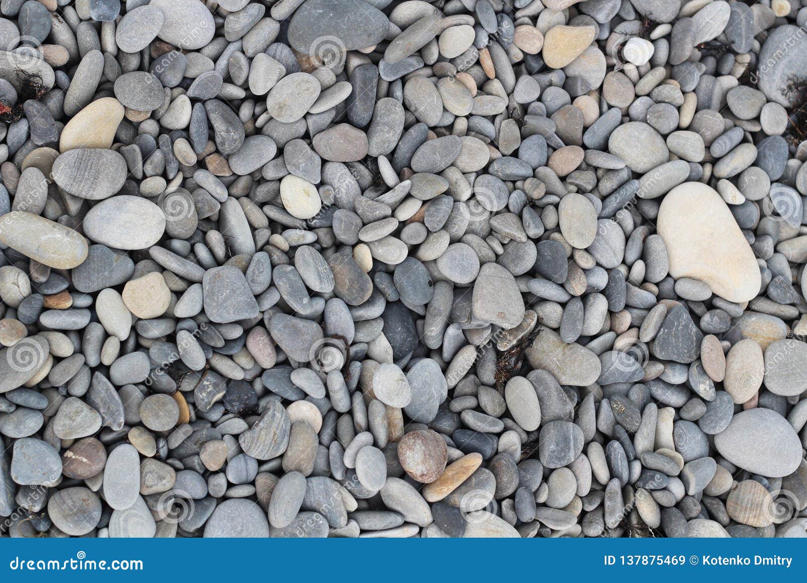 Gray pebble background stock image. Image of chaotic - 137875469