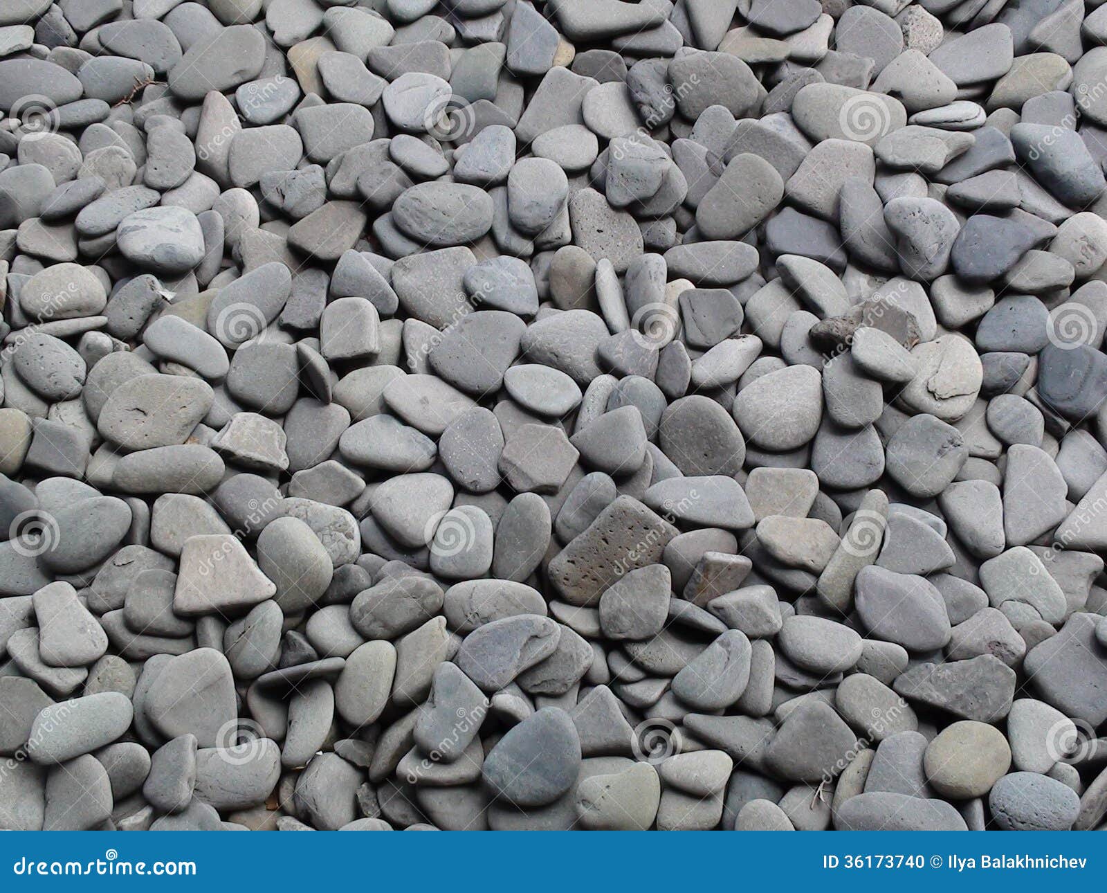 Gray pebble stock photo. Image of roughness, scree, jackstone - 36173740