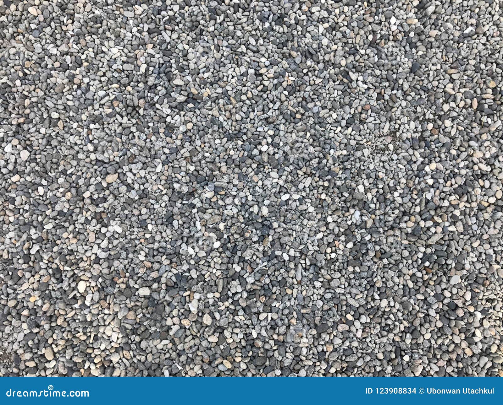 Gray pebble Stone stock photo. Image of stones, concept - 123908834
