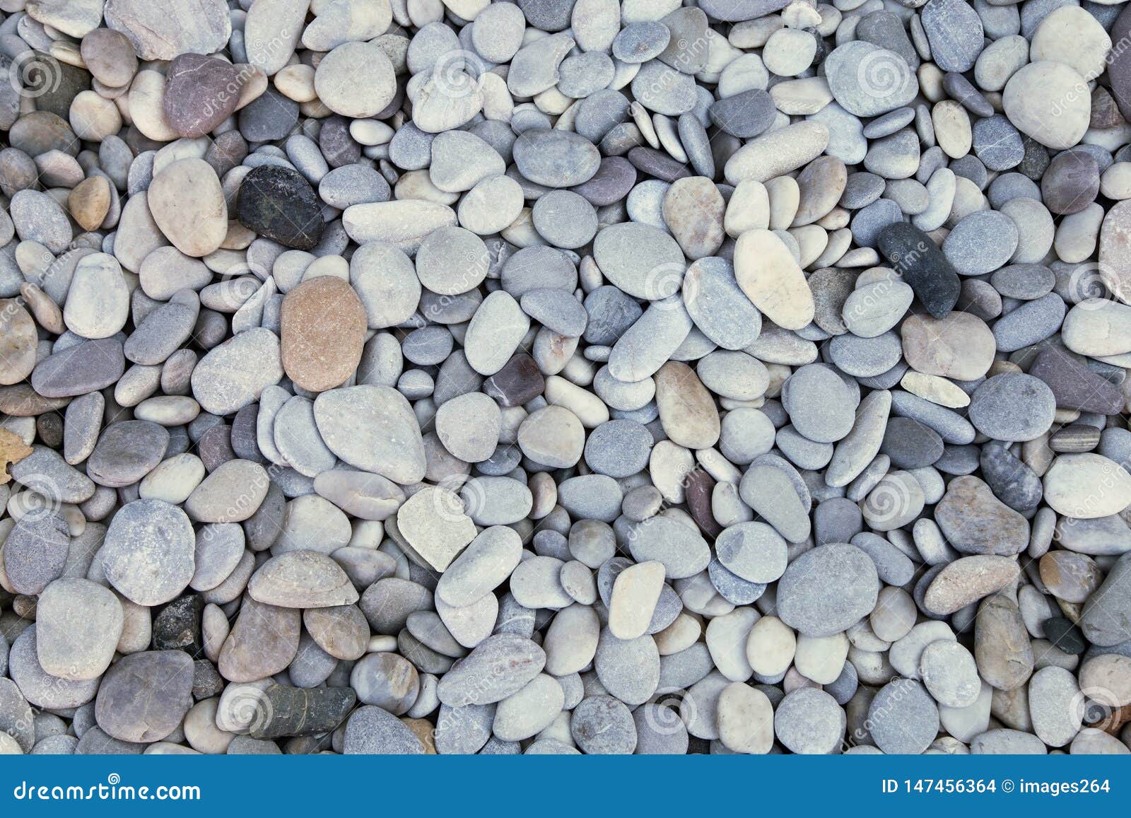 Pebble background stock photo. Image of gray, rock, grained - 147456364