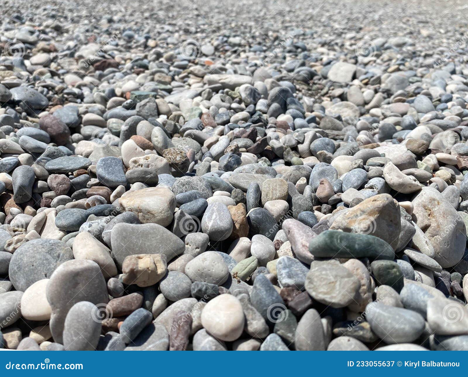 Gray pebbles on the beach stock image. Image of beach - 233055637