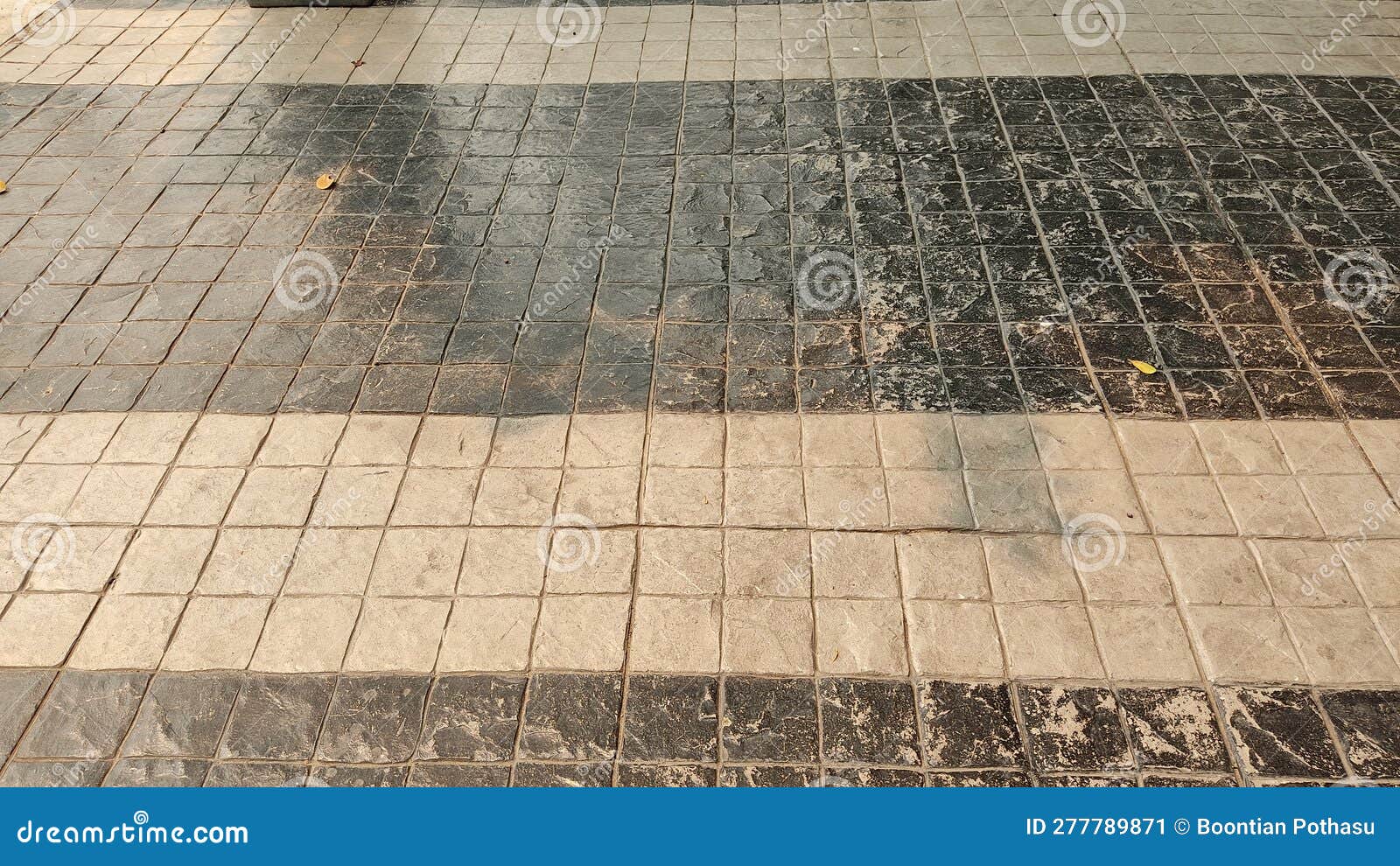 A Gray Photographs is a Very Beautifully Background Image Stock Image ...