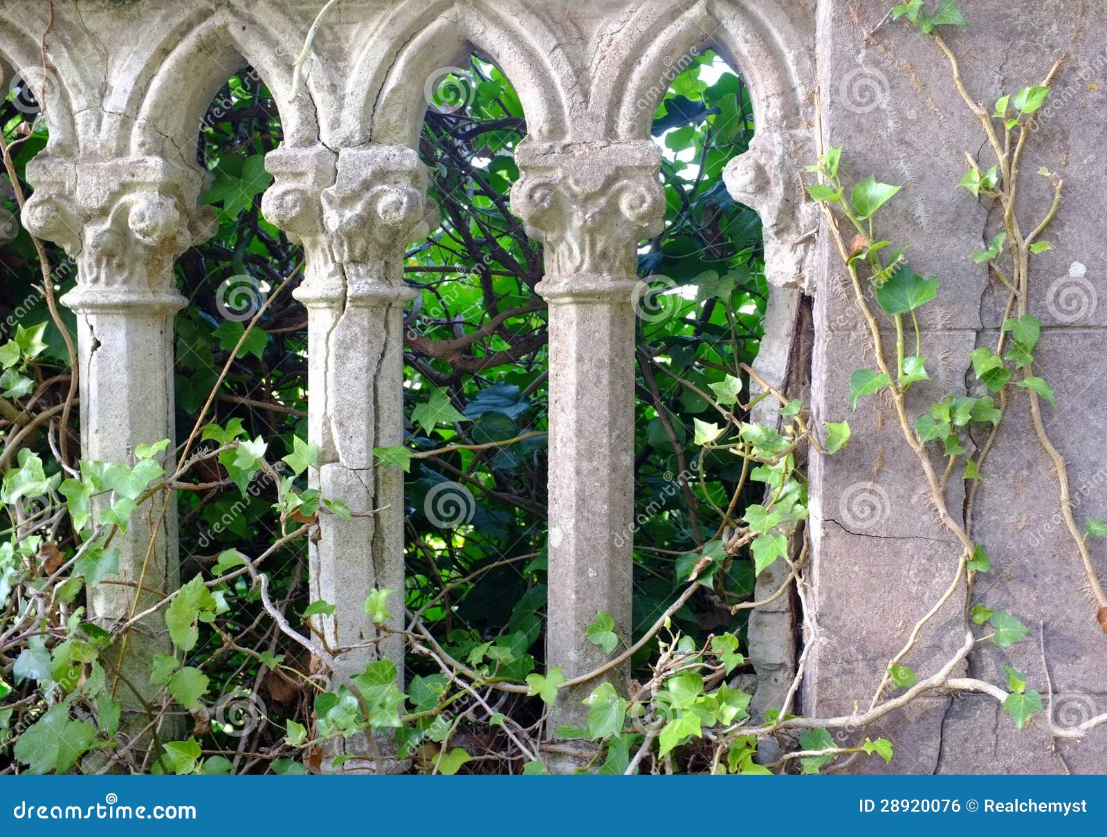 Gray pillars and ivy stock photo. Image of creeper, gateway - 28920076