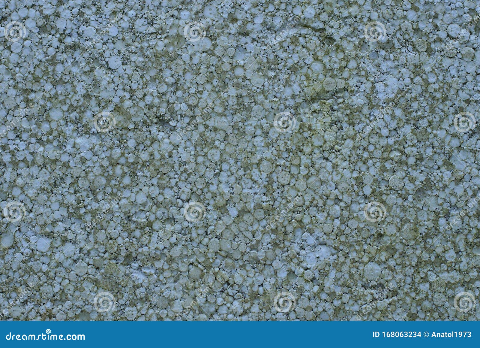 Gray Plastic Texture from a Piece of Old and Dirty Polystyrene Foam 库存 ...