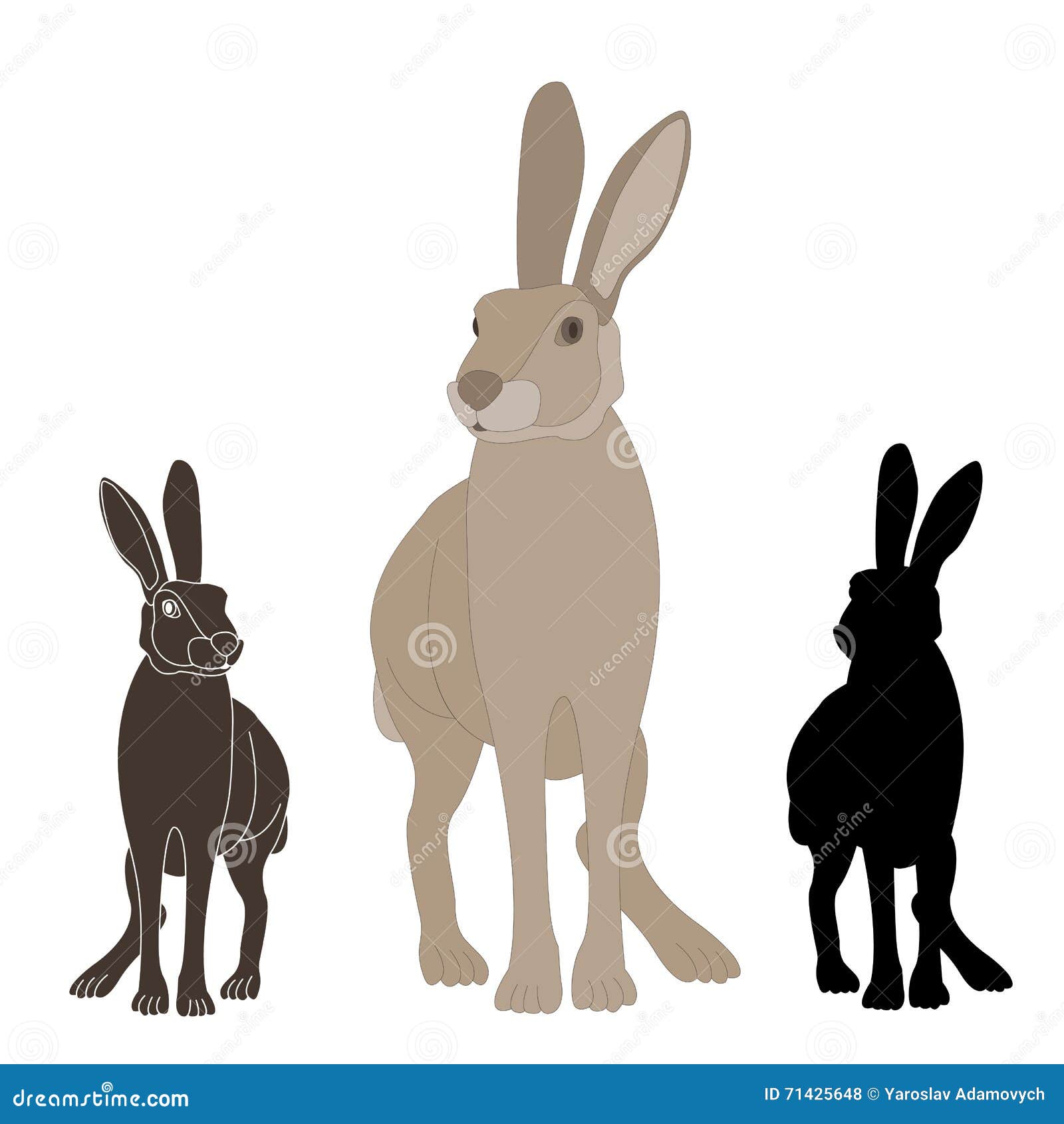 Gray Rabbit Standing On Its Hind Legs And Saying Hello Royalty-Free ...