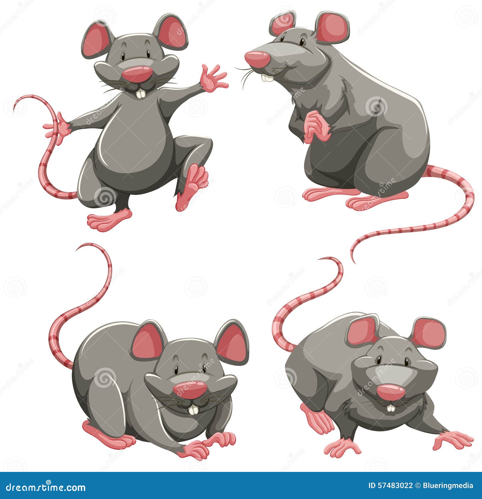 Gray Rat in Different Poses Stock Vector - Illustration of small ...