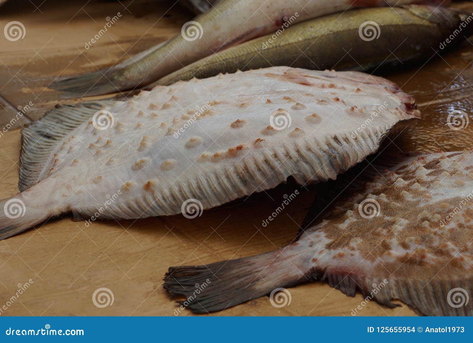 Gray Raw Flounder Fish on a Brown Table Stock Photo - Image of grey ...