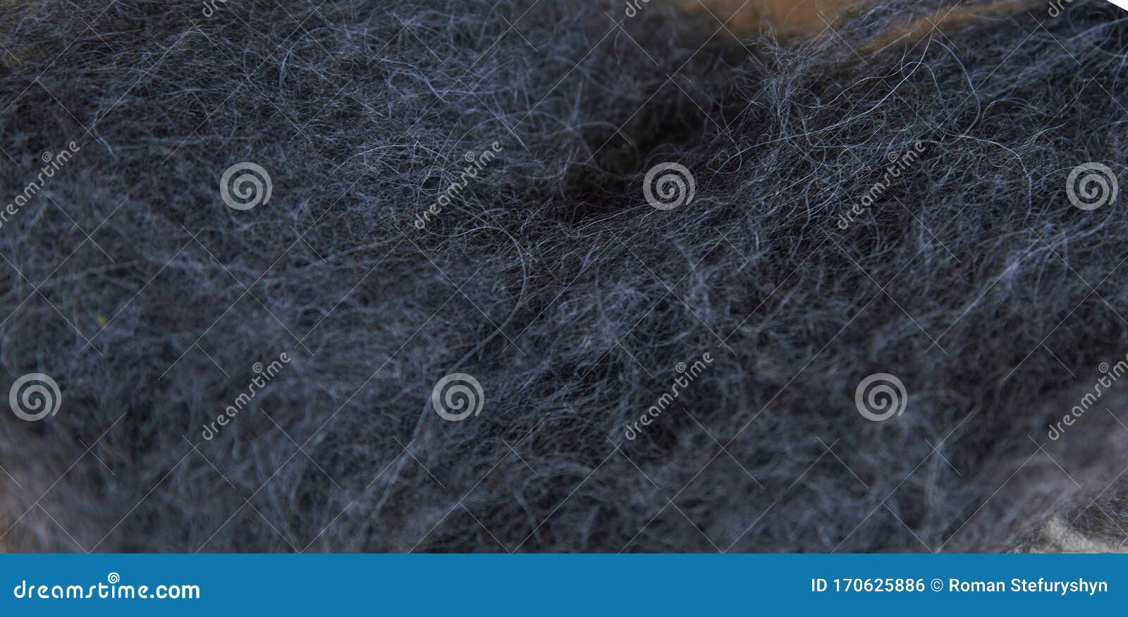 Gray Raw Wool, Ready for Manufacturing Stock Photo - Image of curly ...