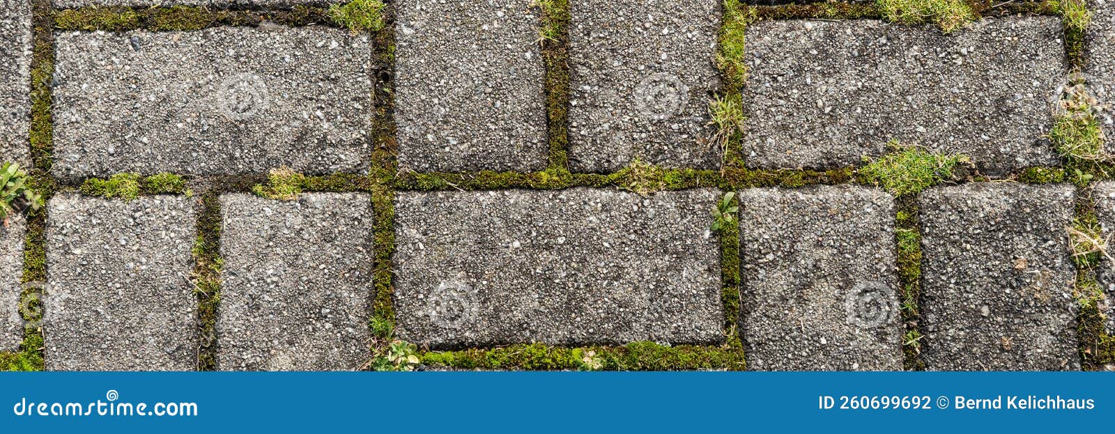 Gray Rectangular Paving Stones with Moss. Panorama Stock Photo - Image ...