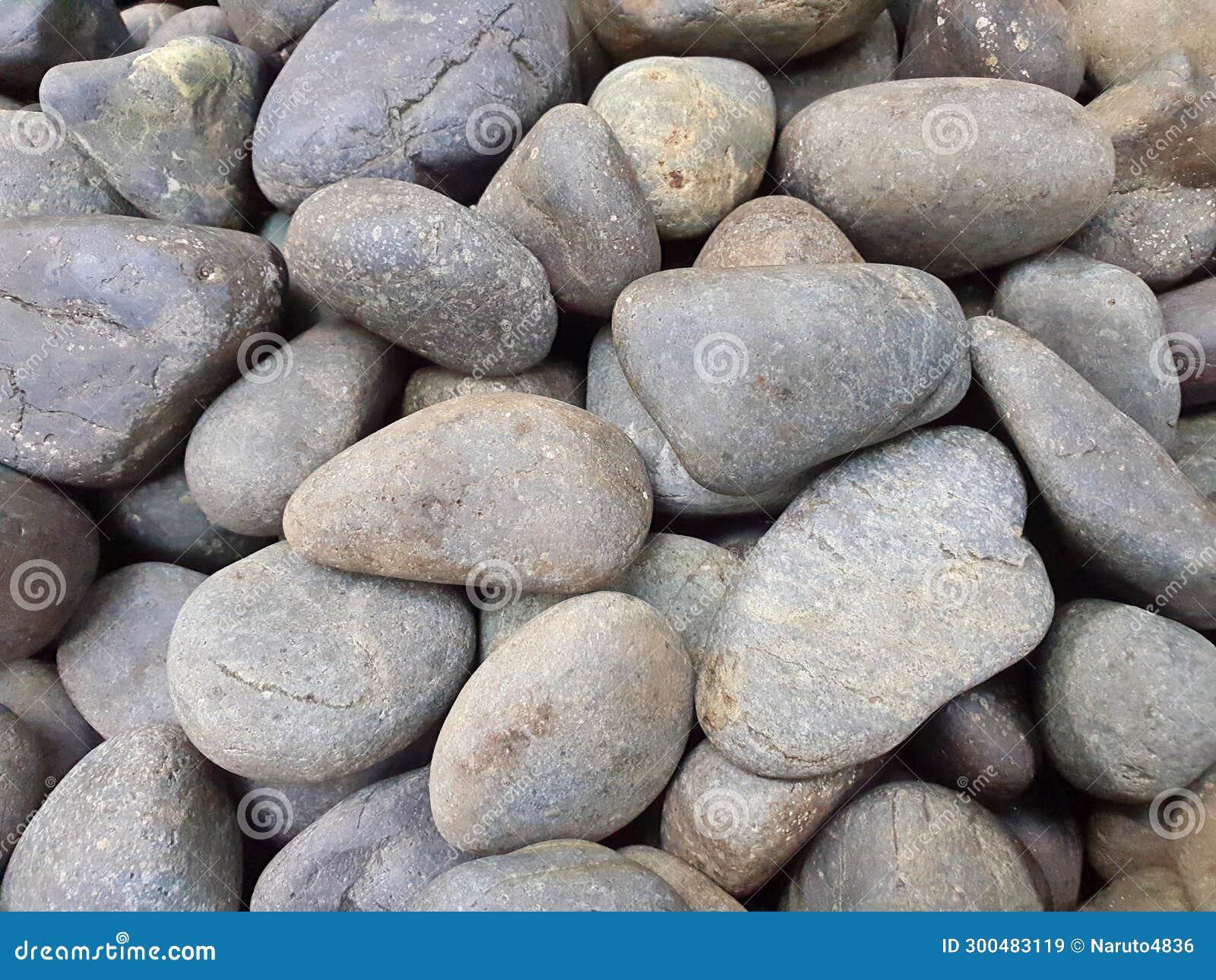 Gray River Rocks stock image. Image of rocks, multicolored - 300483119