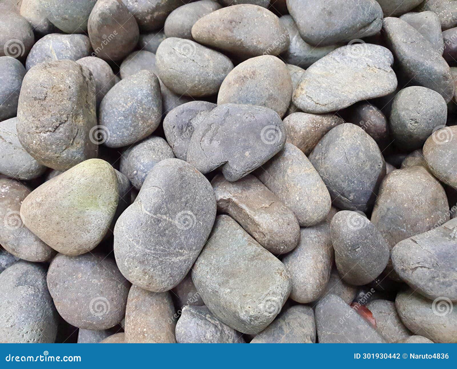 Gray River Rocks stock photo. Image of round, pebbles - 301930442