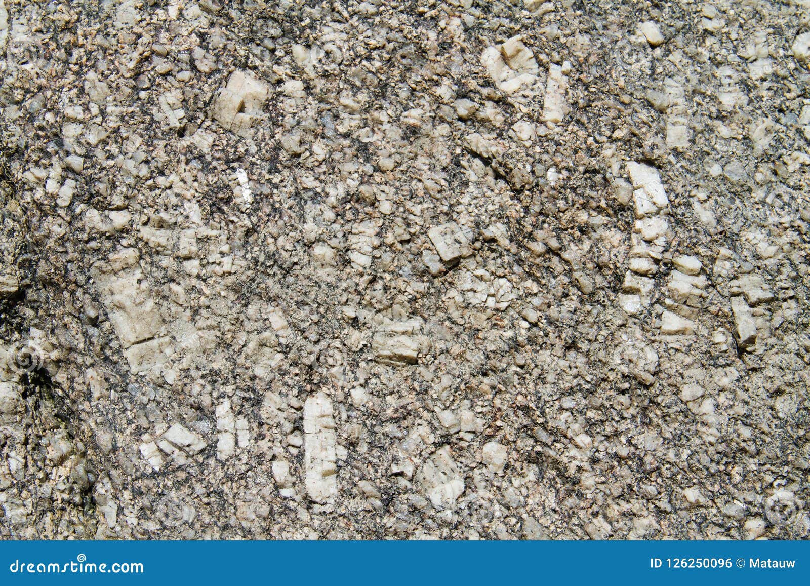 Gray Rock with Embedded Crystals Stock Photo - Image of embedded ...
